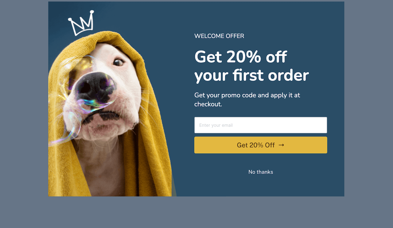 Pets Welcome Offer Embed Template | ConvertFlow