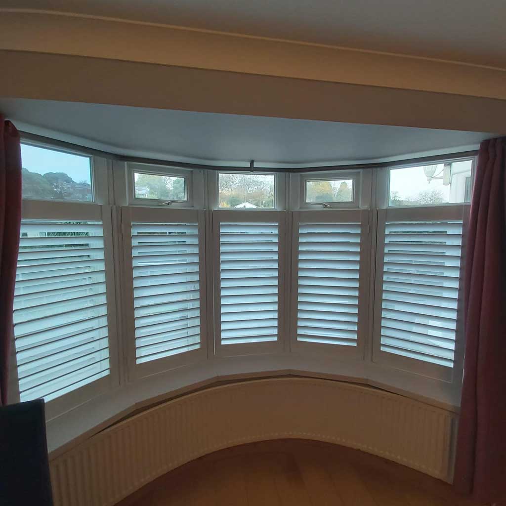 Paulownia Sustainable Hardwood