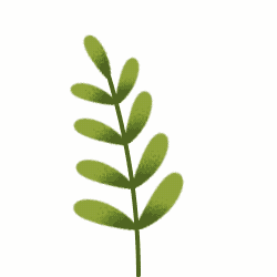 Principles of Animation for Motion Designers