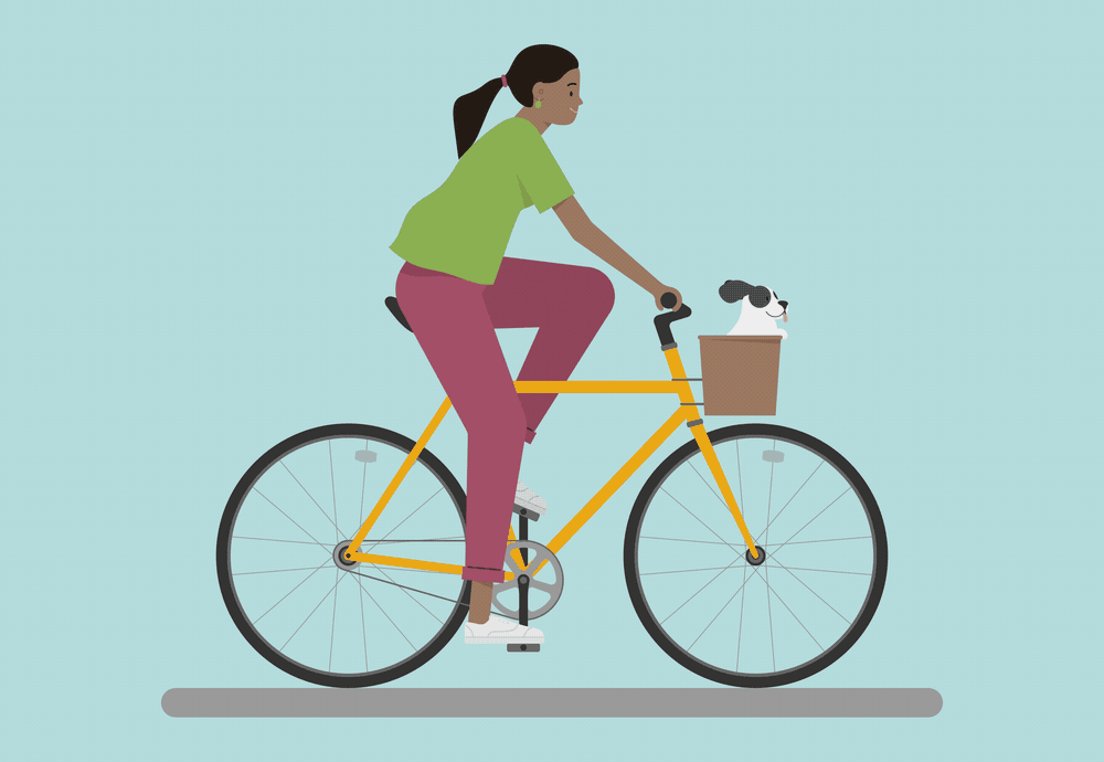 Principles of Animation for Motion Designers