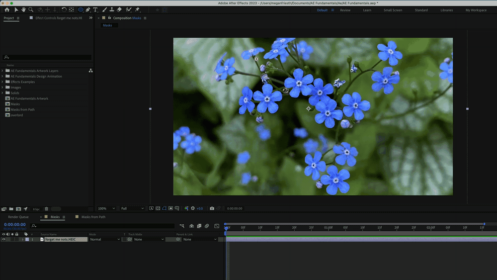AE Fundamentals: Masks