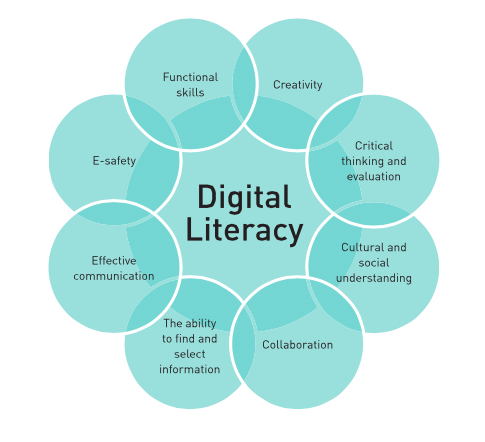 Developing Students' Digital Literacy Skills