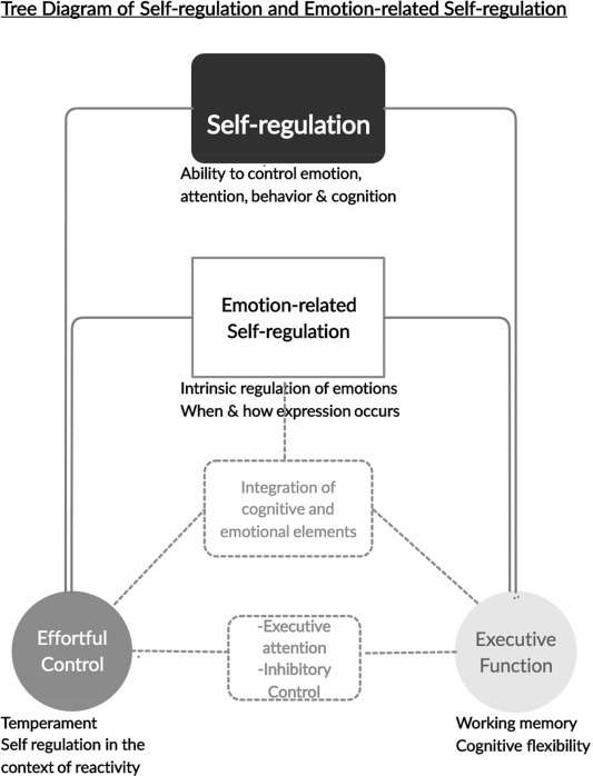 Emotion Regulation