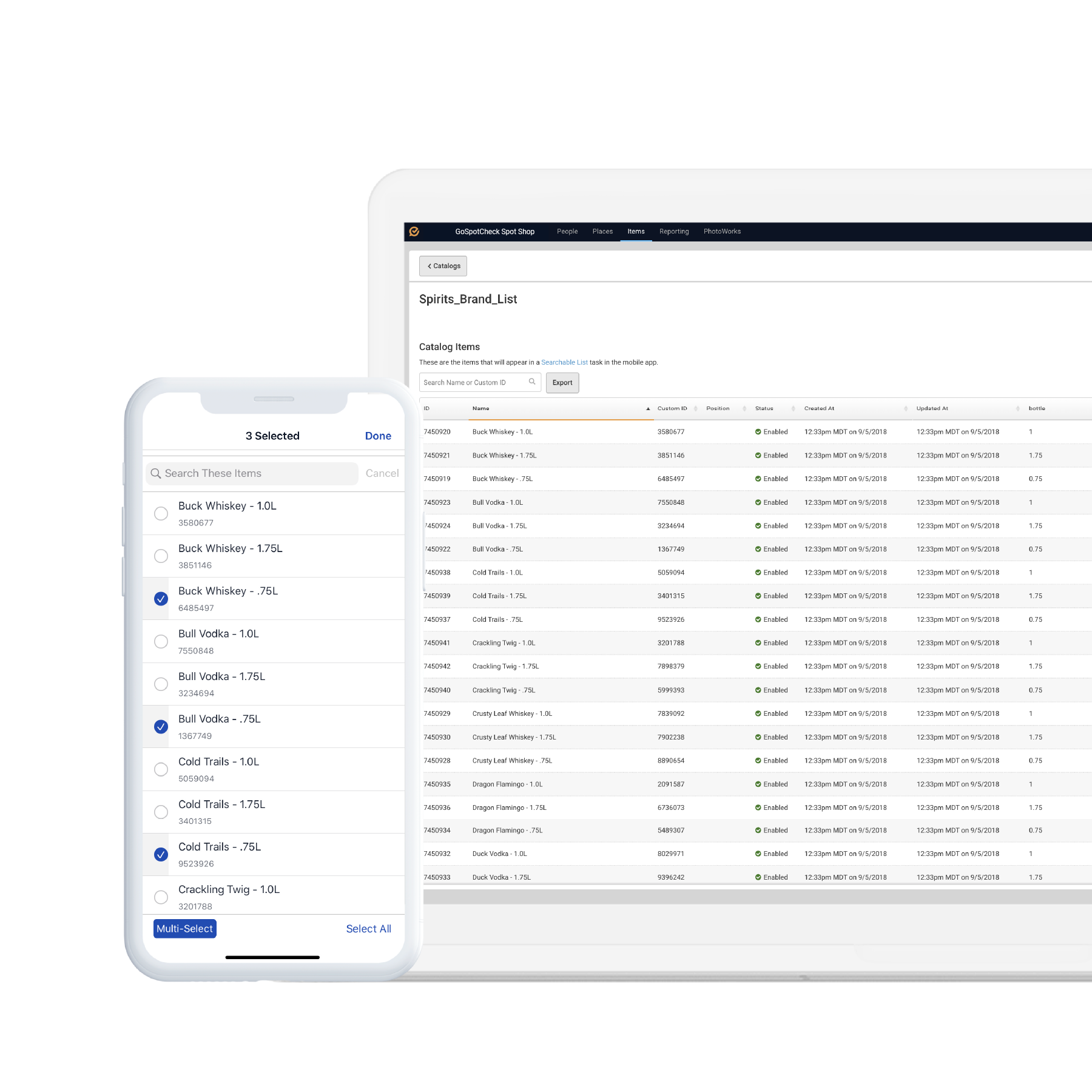 GoSpotCheck l People, Place + Data Management