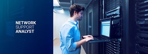 Network Support Analyst | Role, Responsibilities & Salary
