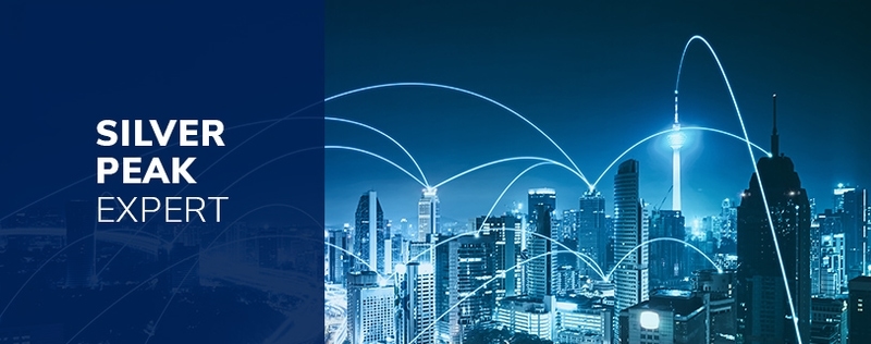 Silver Peak Expert – Job Description, Freelance Jobs & More!