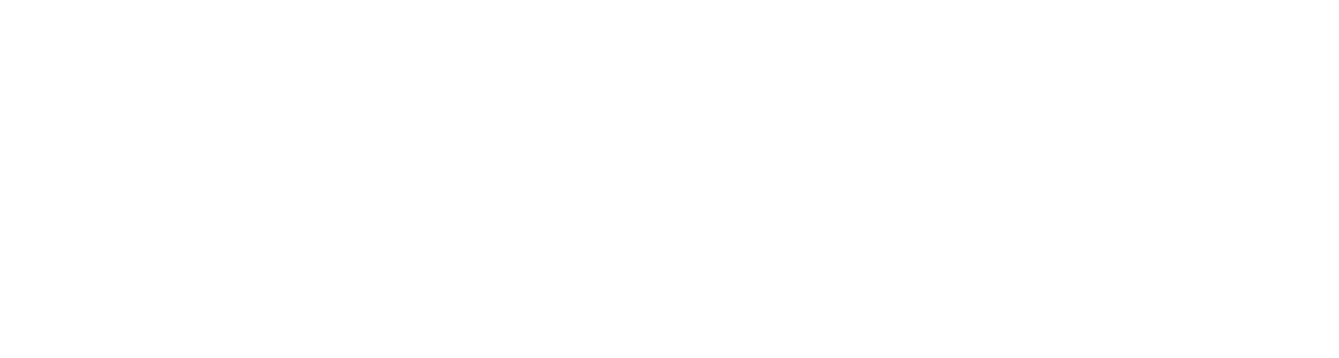 CodeGreen Systems: Cyber Security and Data Protection Solution Provider