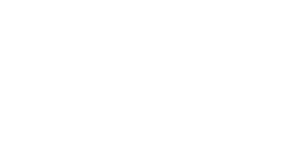 CodeGreen Systems: Cyber Security and Data Protection Solution Provider