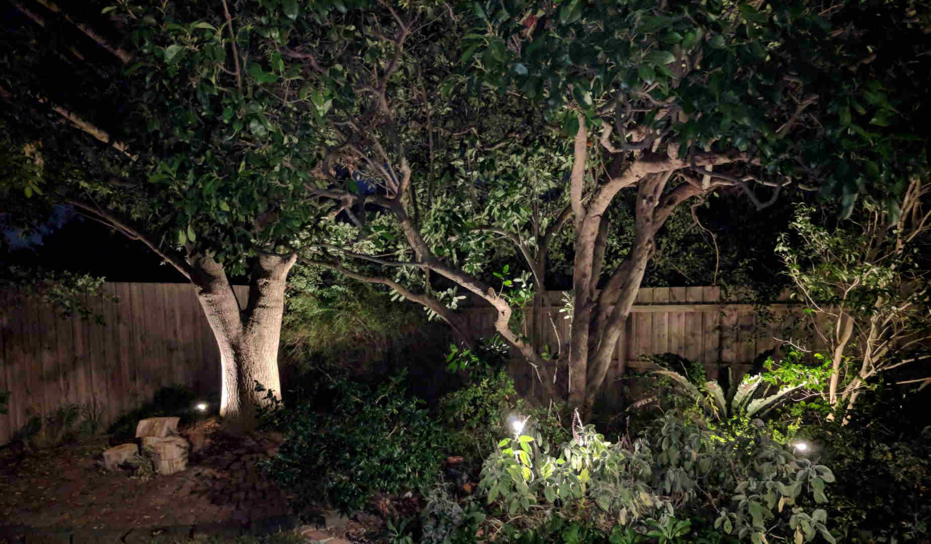 10 Outdoor Lighting Options to Transform Your Garden