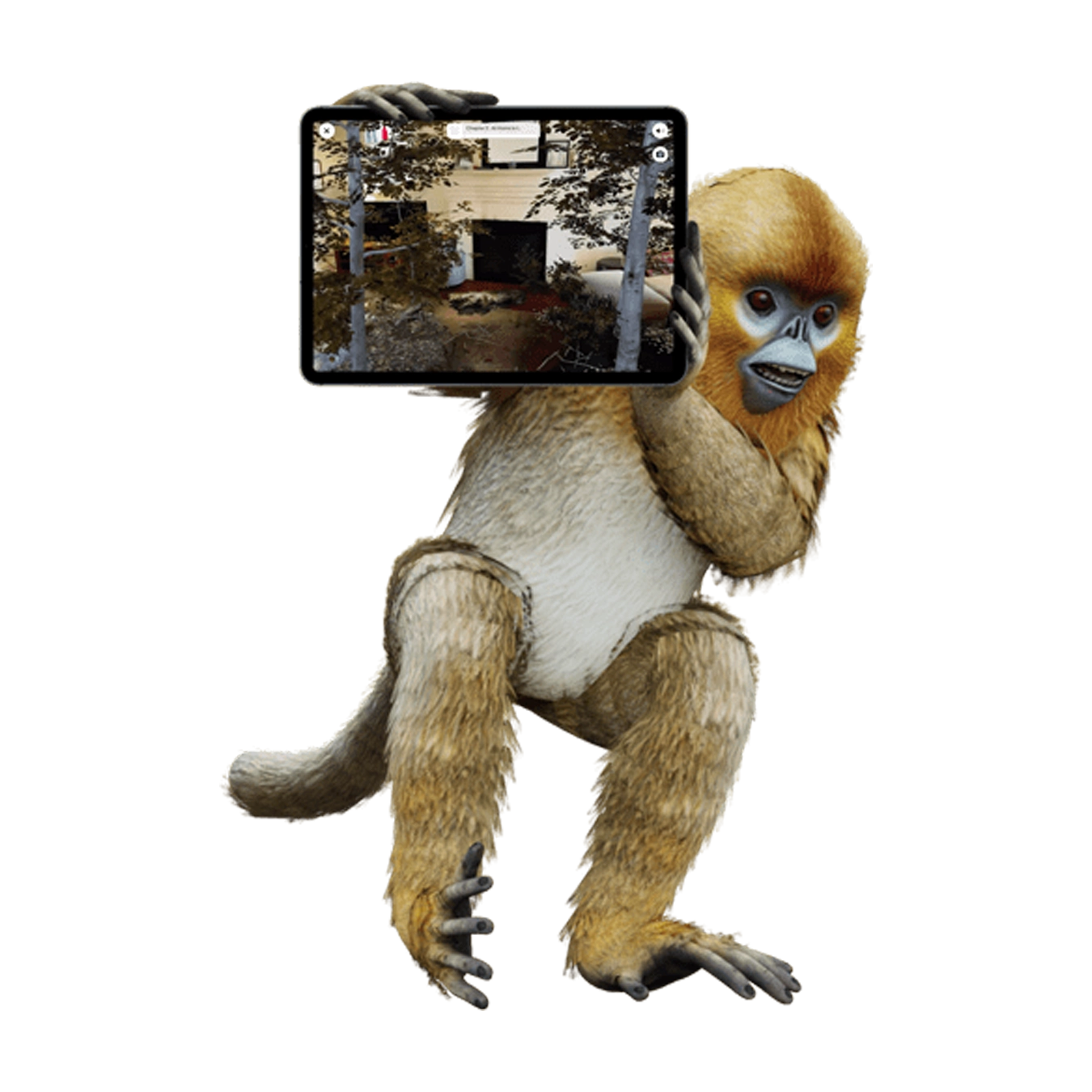 WWF | Augmented Reality for Environmental Awareness