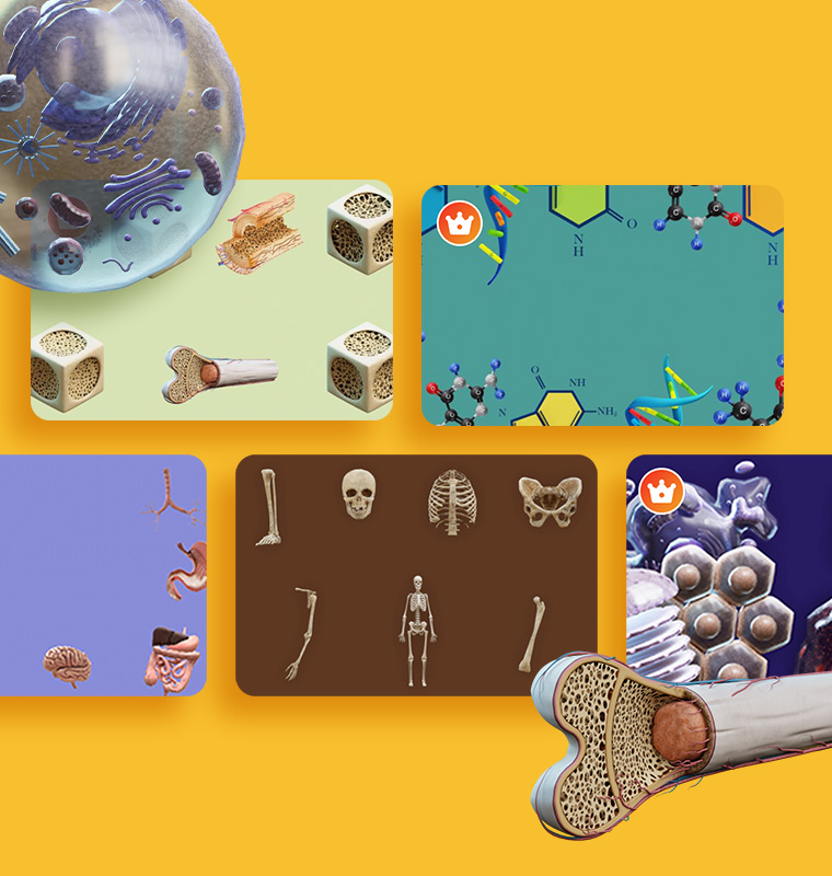 4 Real-Case Examples of Augmented Reality Utilizations for Museums