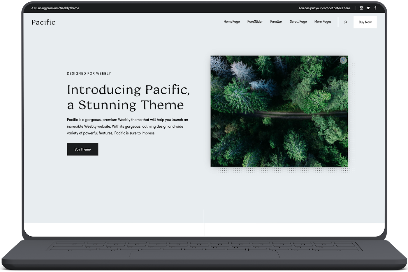 Premium Weebly Themes and Templates for Your Weebly Site