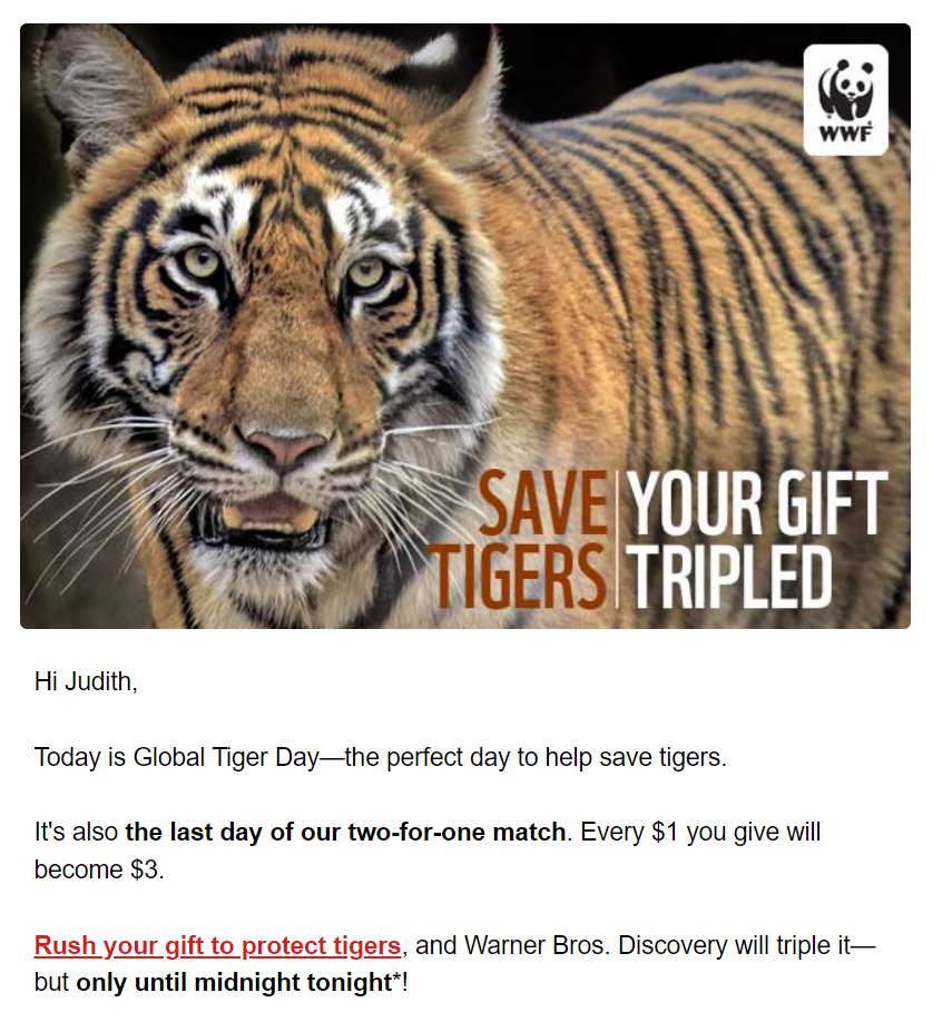 8 steps to a successful nonprofit email fundraising campaign - Streak