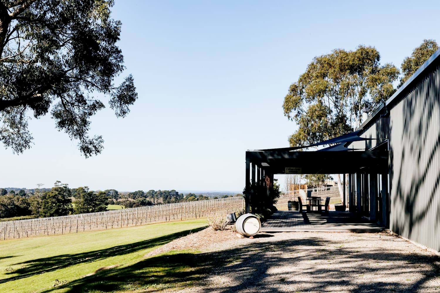 Paradigm Hill | The Ninch – Your Mornington Peninsula Guide