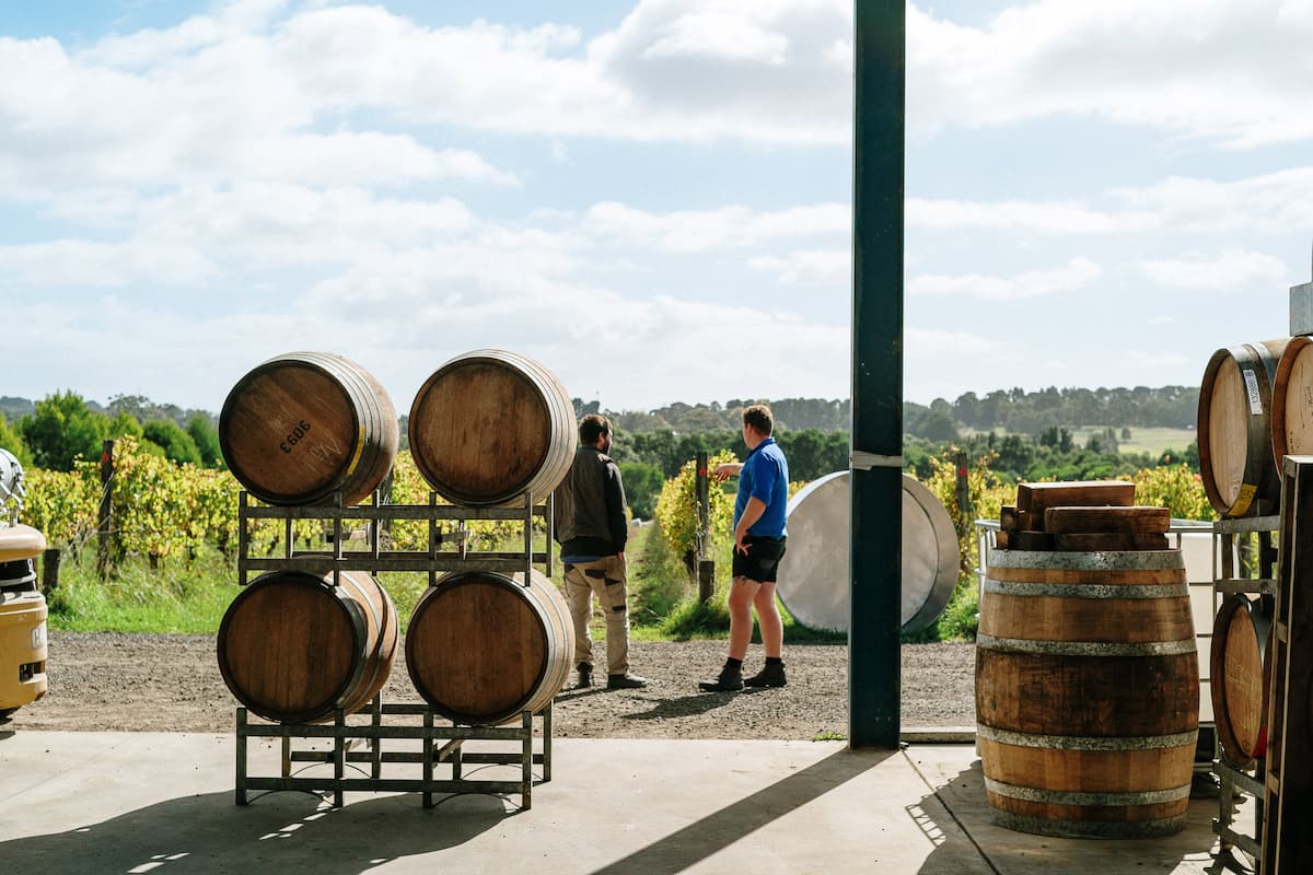 Quealy Wines | The Ninch – Your Mornington Peninsula Guide