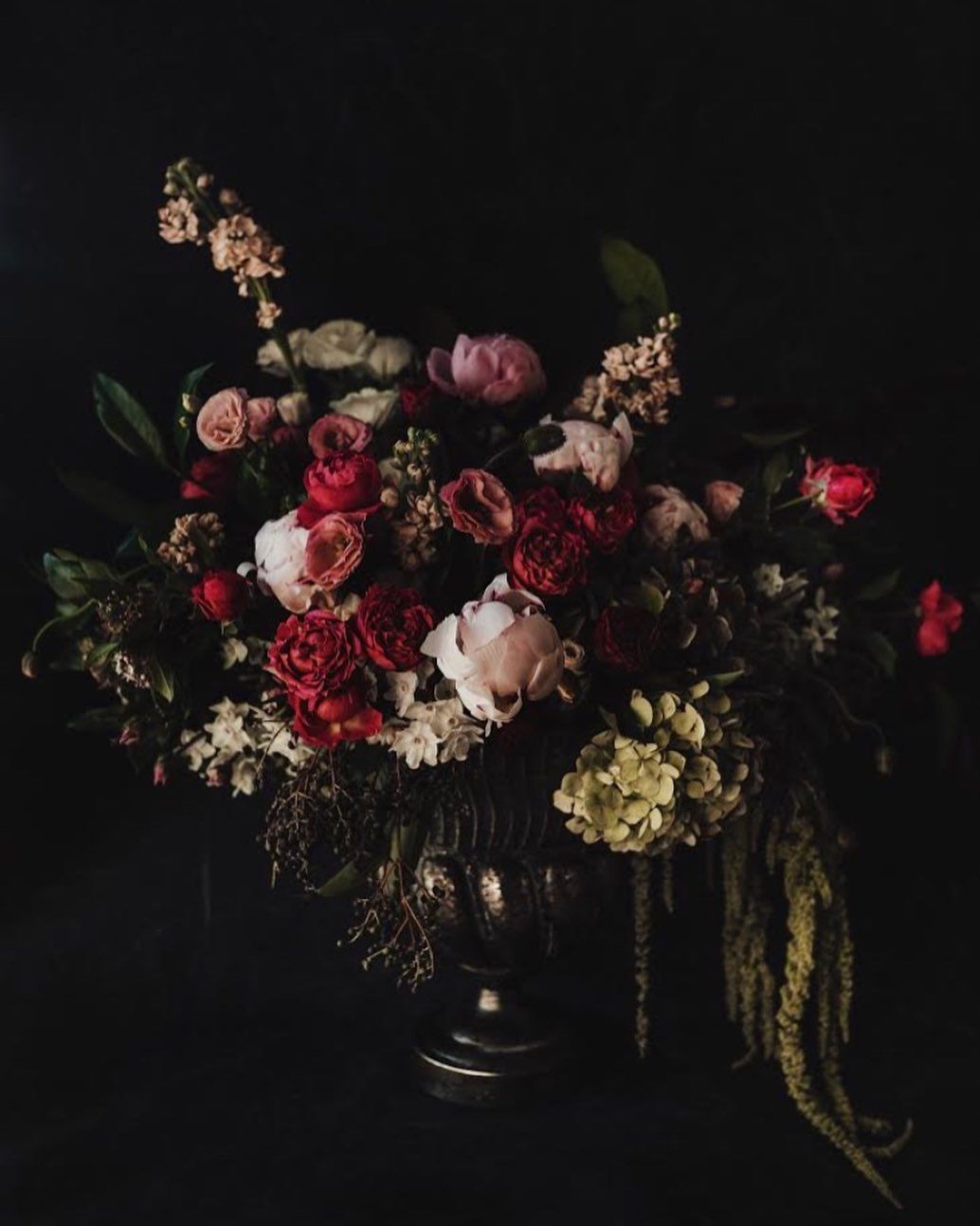 Millicent Green | The Ninch – Your Mornington Peninsula Guide