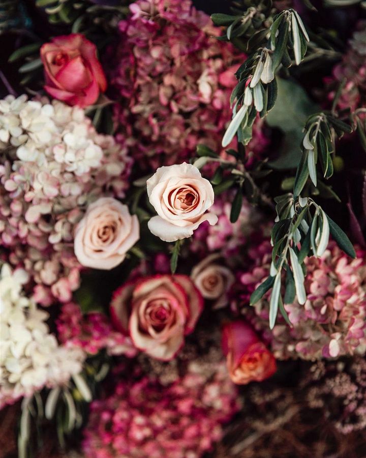 Millicent Green | The Ninch – Your Mornington Peninsula Guide