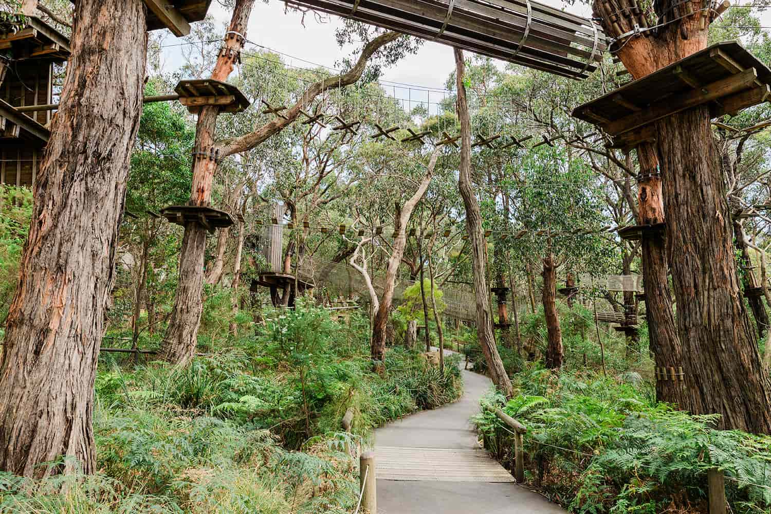 Enchanted Adventure | The Ninch – Your Mornington Peninsula Guide