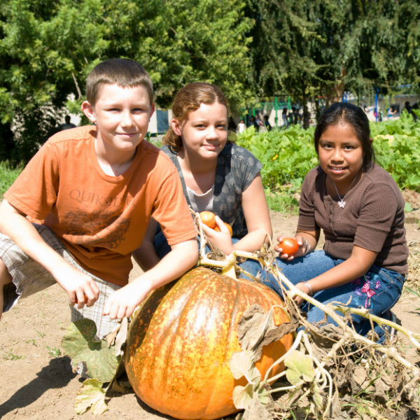 Farm to School Month