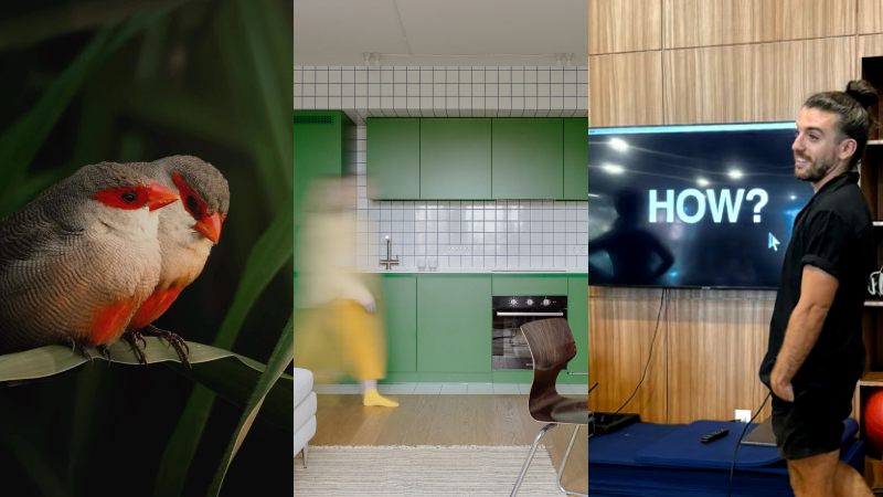 Sharing Your Passion is So Much Fun | The Design Guy