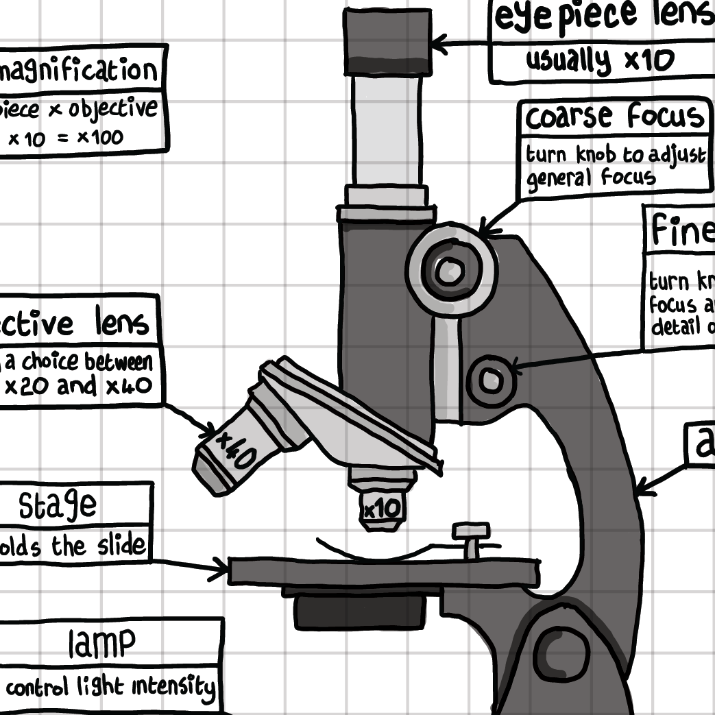 GCSE Science resources