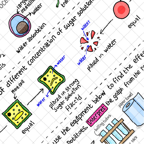 GCSE Science resources