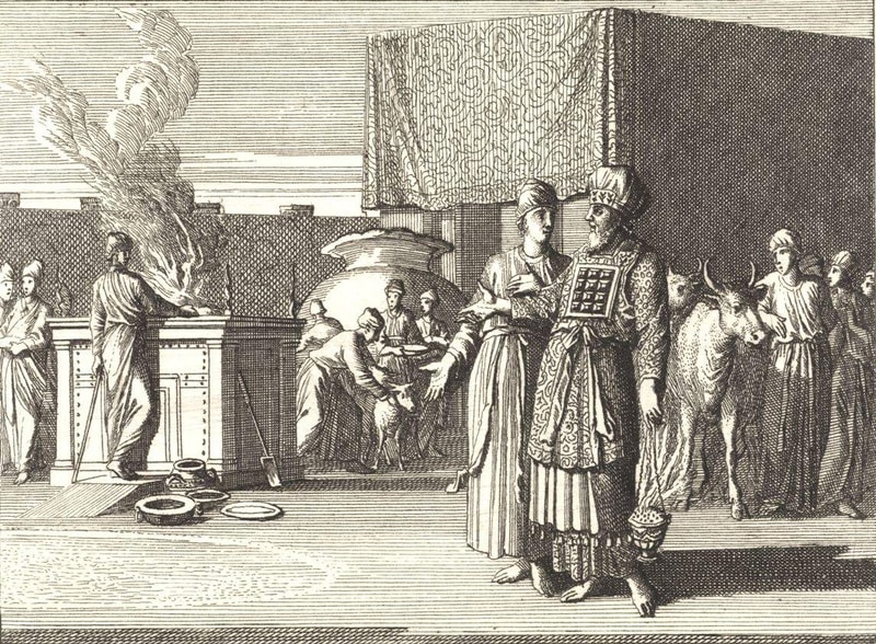 "This is the Torah" for the Priests Performing the Offerings - TheTorah.com