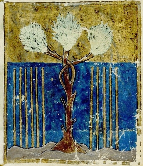 Aaron’s Flowering Staff: A Priestly Asherah? - TheTorah.com