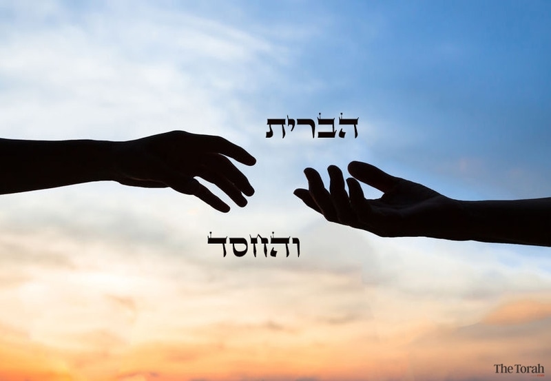 Chesed: A Reciprocal Covenant - TheTorah.com