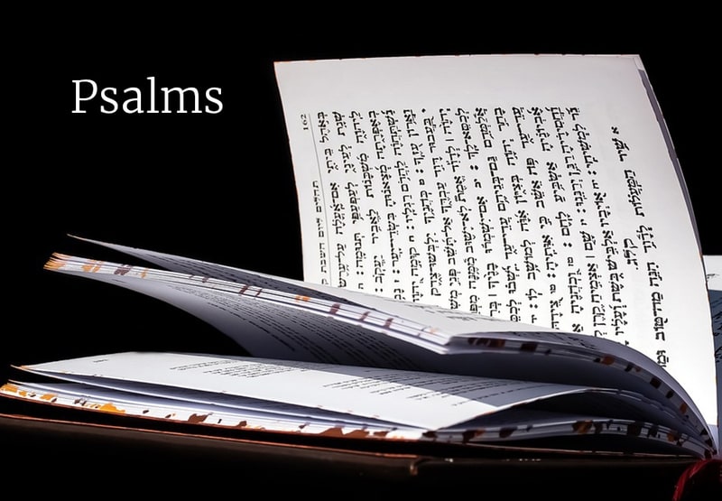 Seeking Torah, Seeking God: Psalm 119 - TheTorah.com