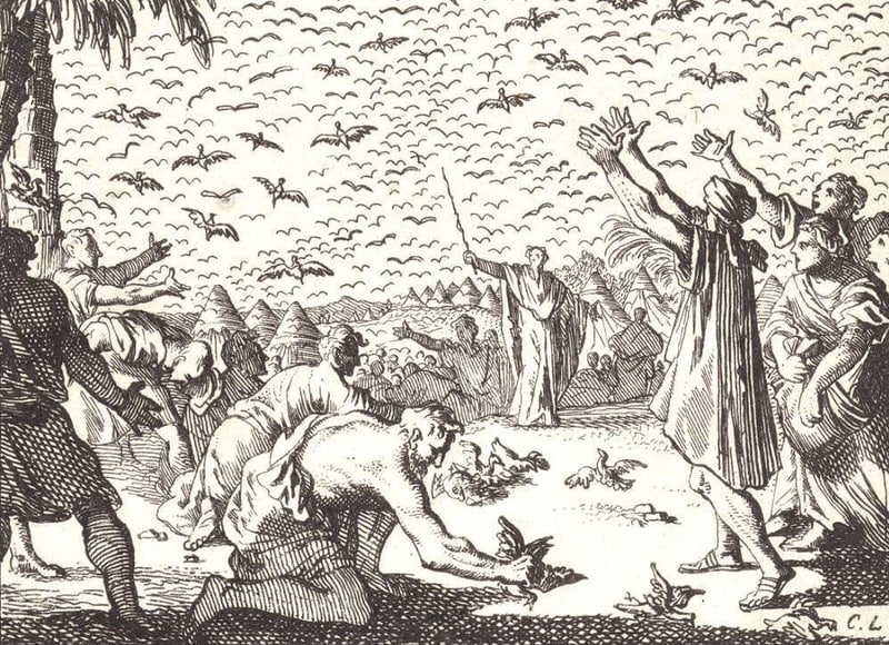 The Double Quail Narratives and Bekhor Shor's Innovative Reading ...