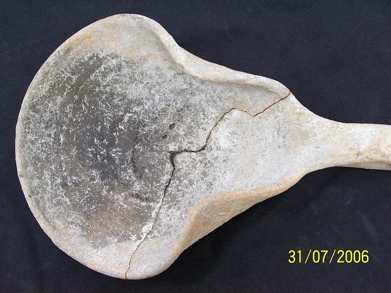 Fire Pans in the Bible and Archaeology - TheTorah.com