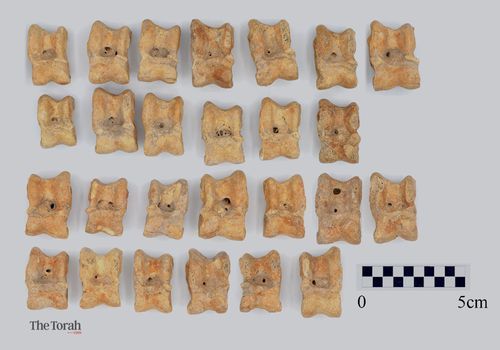 The Astragali of Abel Beth Maacah - TheTorah.com