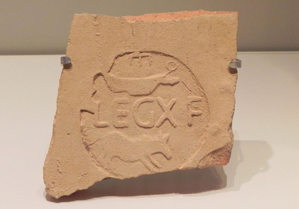 Why Rome Is Likened to a Boar - TheTorah.com