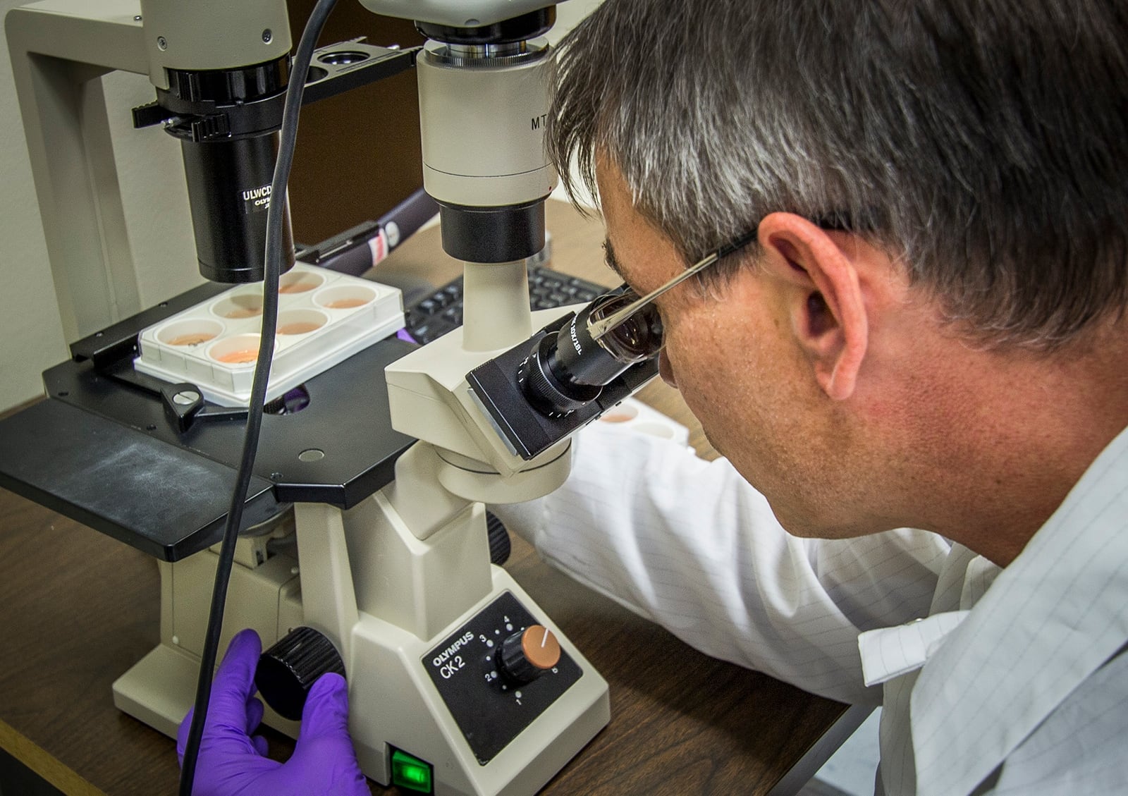 Videos | Flexcell® International Corporation