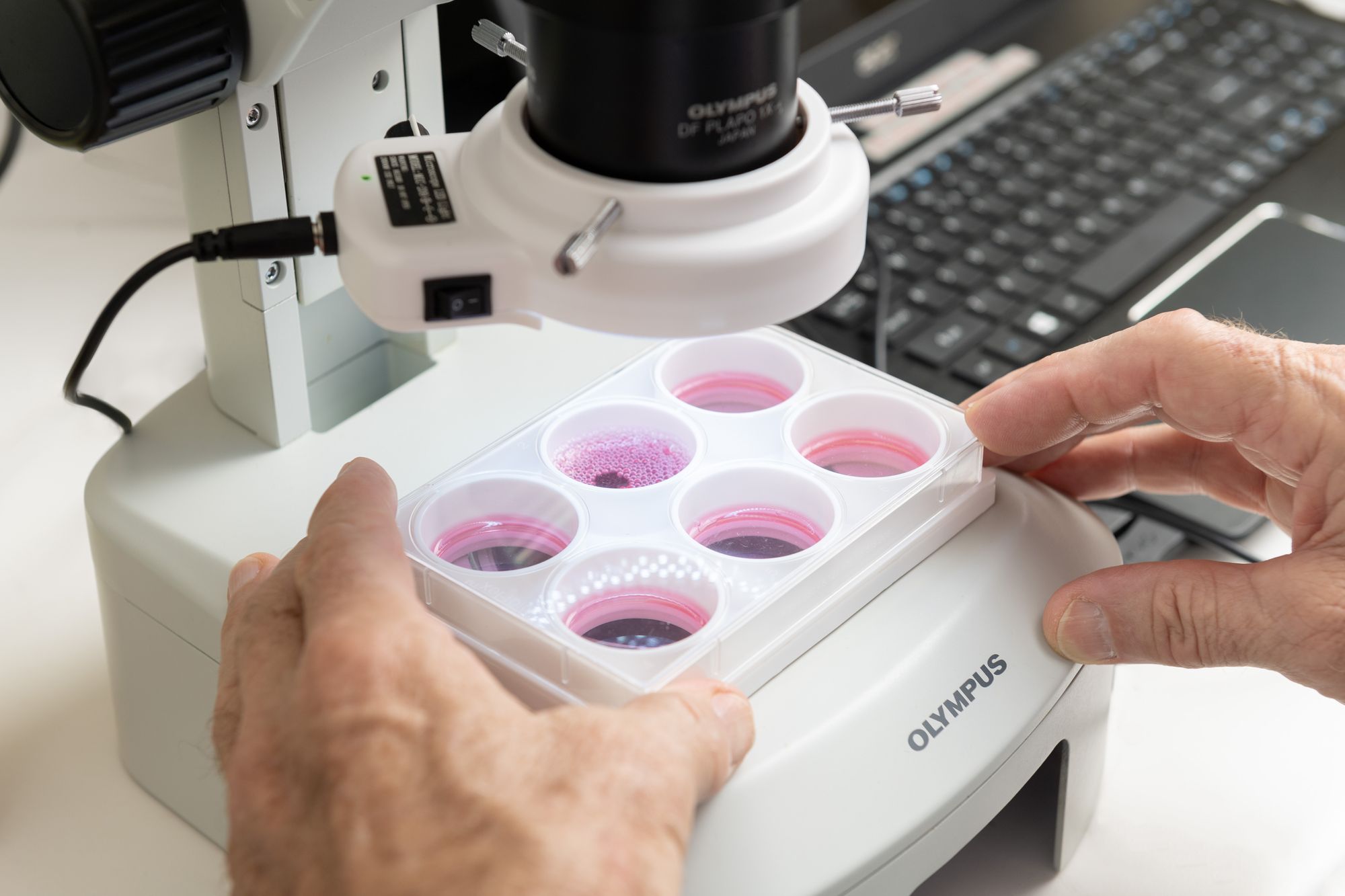 Cell Stretching Bioreactors | Flexcell International