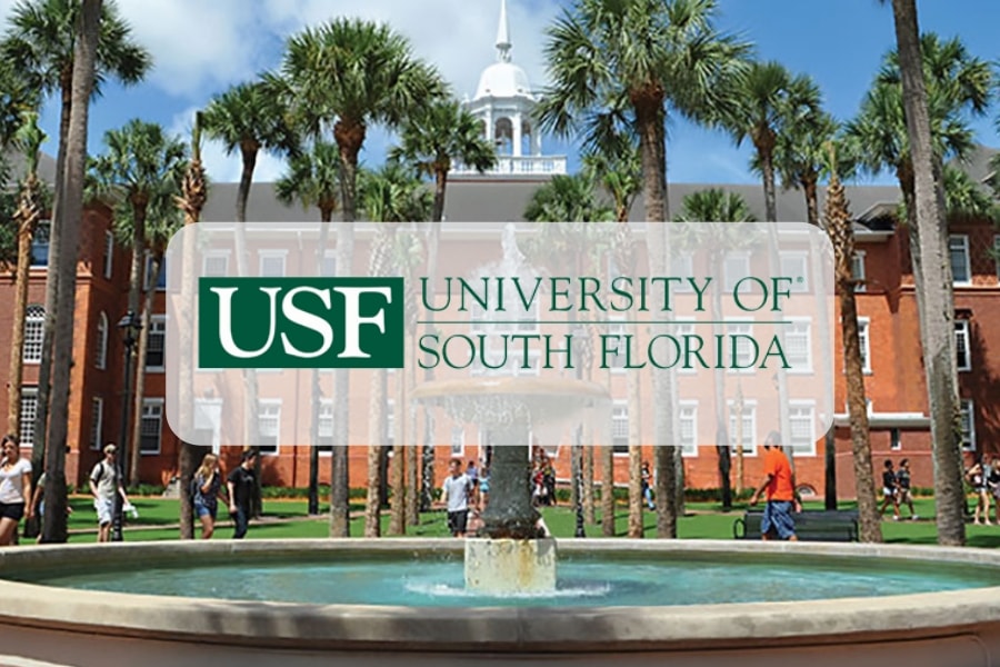 Spotlight on University of South Florida | Almabase