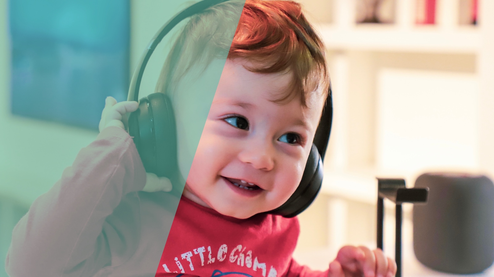 Webflow Web Design Blog | Laura Niebel