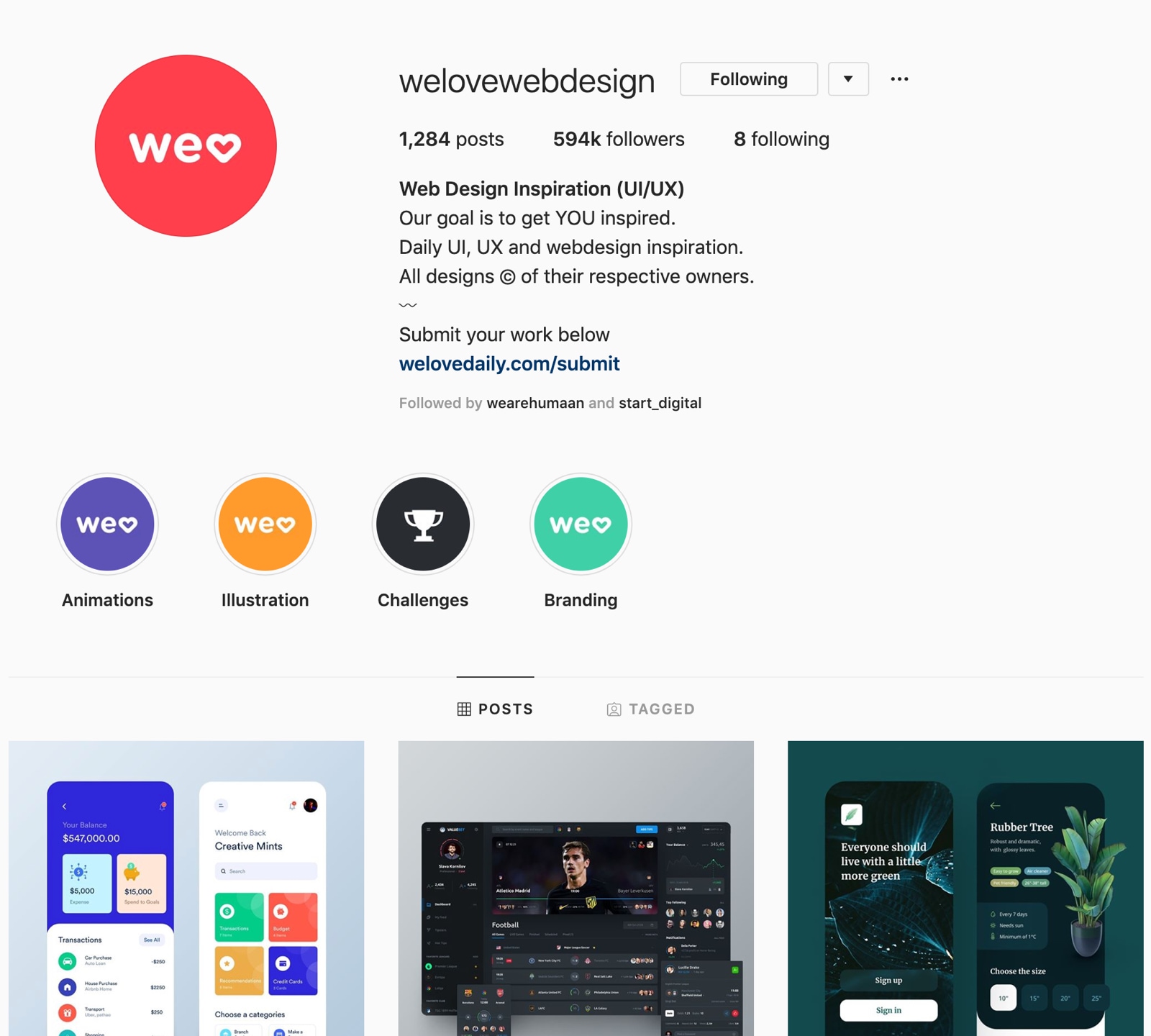 Webflow Web Design Blog | Laura Niebel
