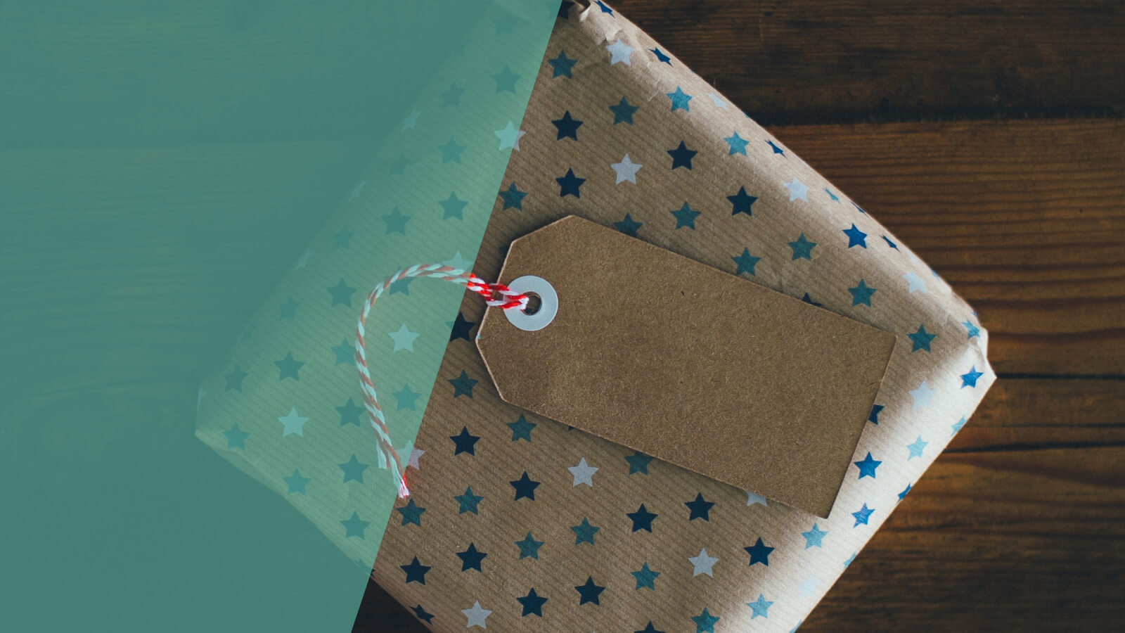 Webflow Web Design Blog | Laura Niebel