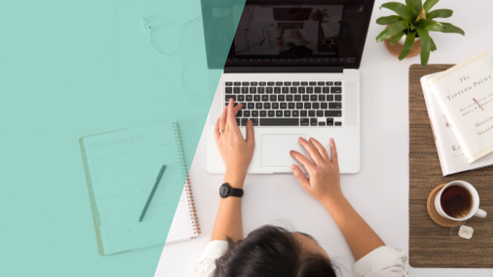 Webflow Web Design Blog | Laura Niebel