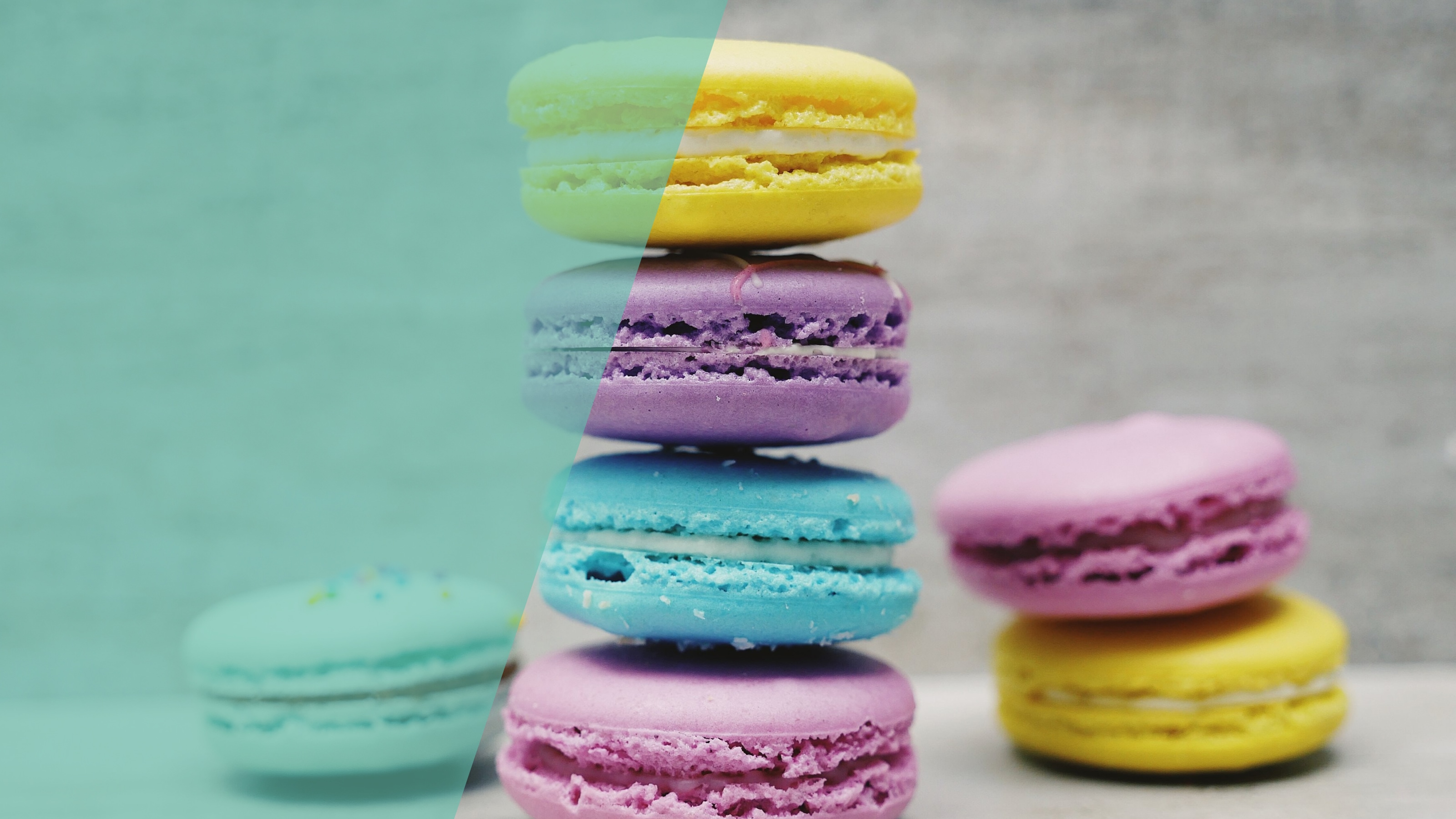 Webflow Web Design Blog | Laura Niebel