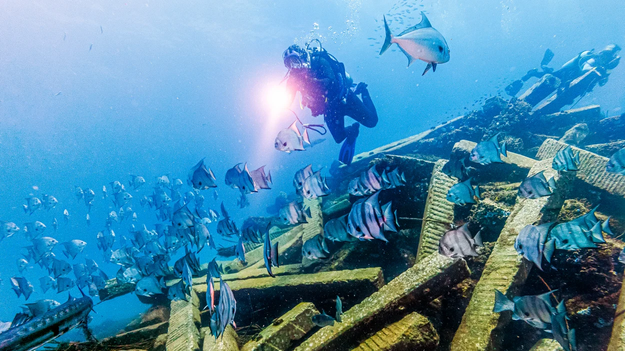 Coastal News Today | TX - Texas's largest artificial reef could help ...