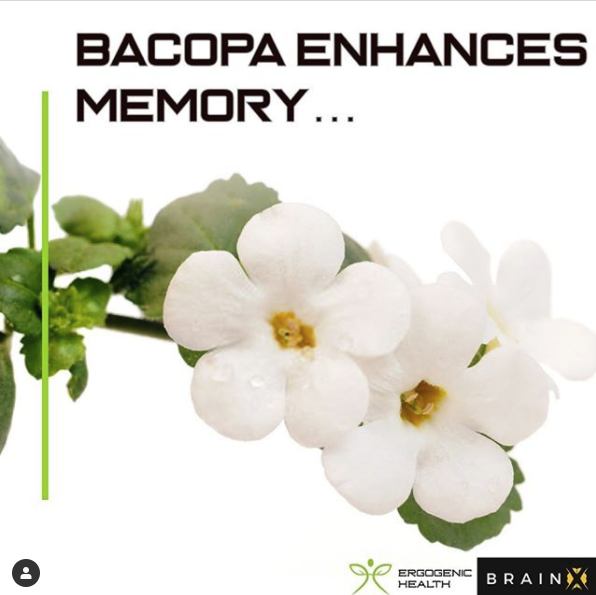 Bacopa Enhances Memory... - Boost Your Biology