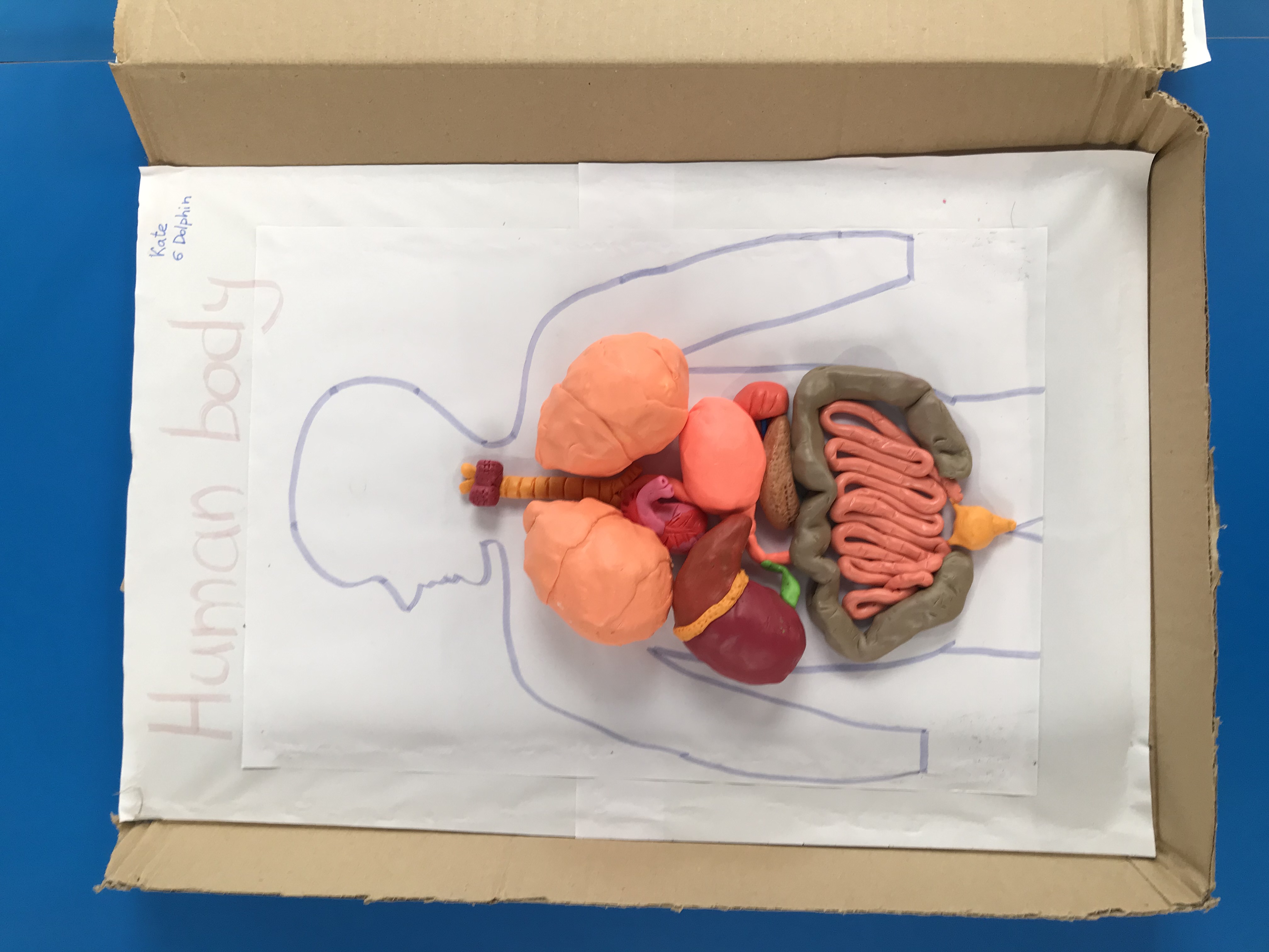 Latest News | Birch Copse