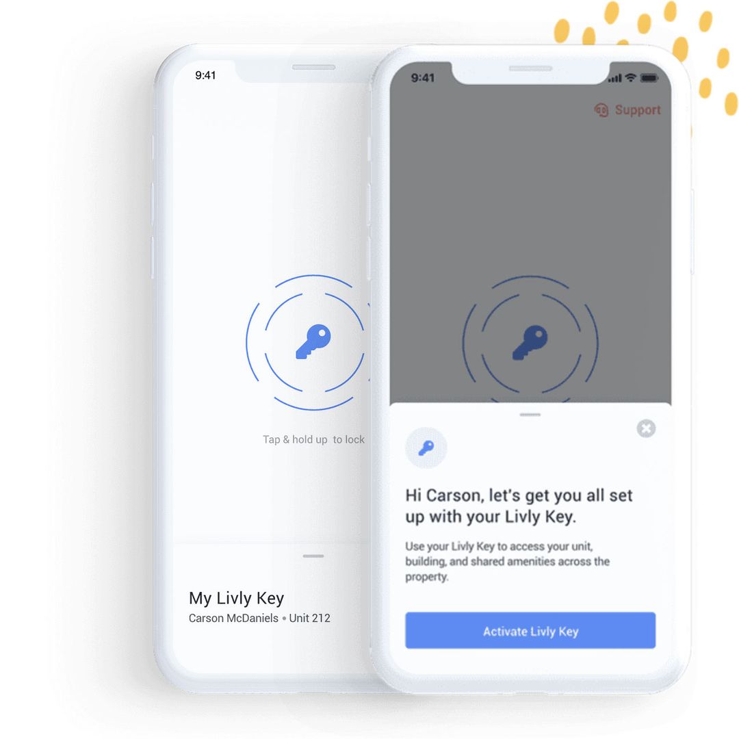 Livly Connect