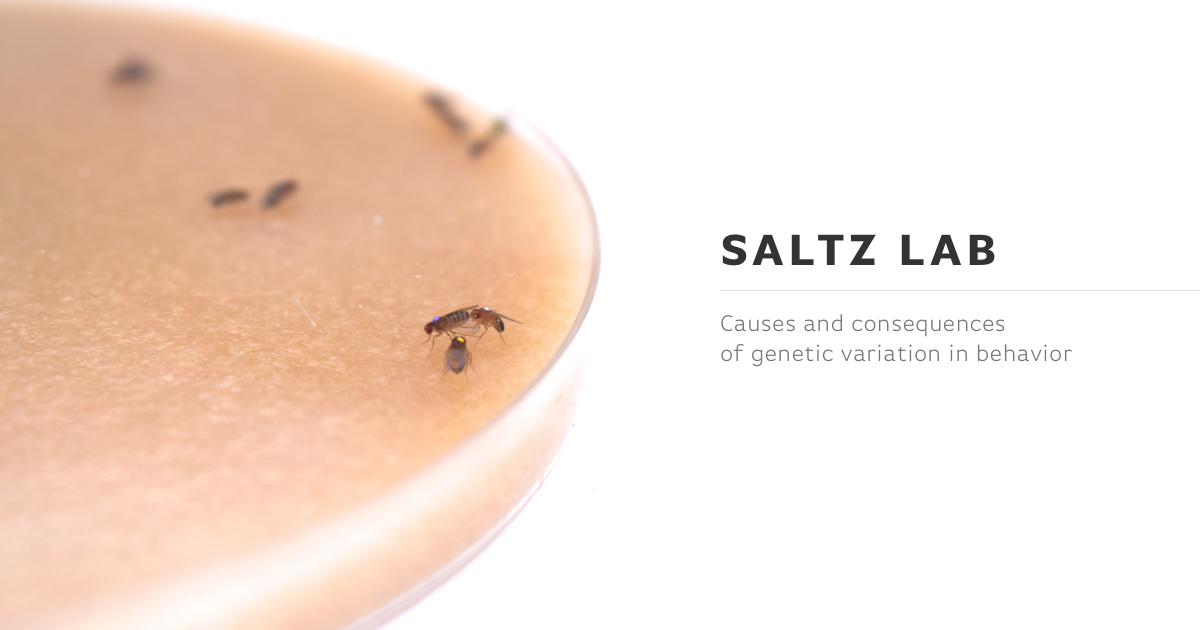 Saltz Lab - Publications