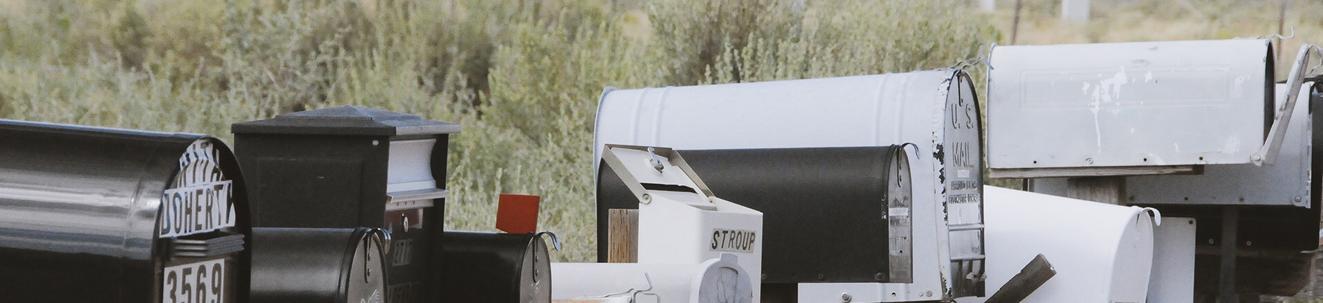 mail in film developing | Mike's Camera"