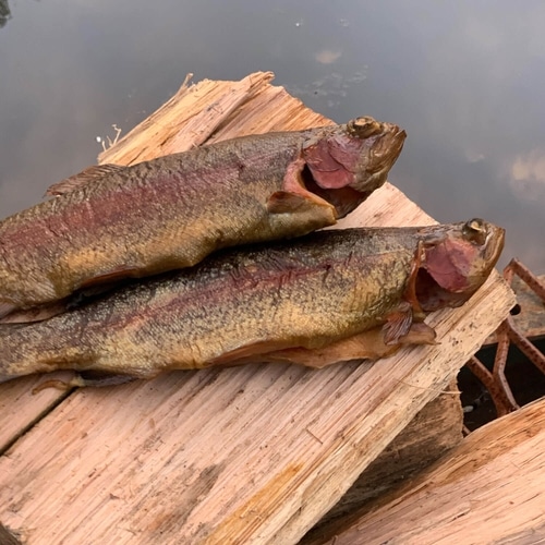 Sustainable Freshwater Trout and Salmon Farm | Buxton Trout and Salmon Farm