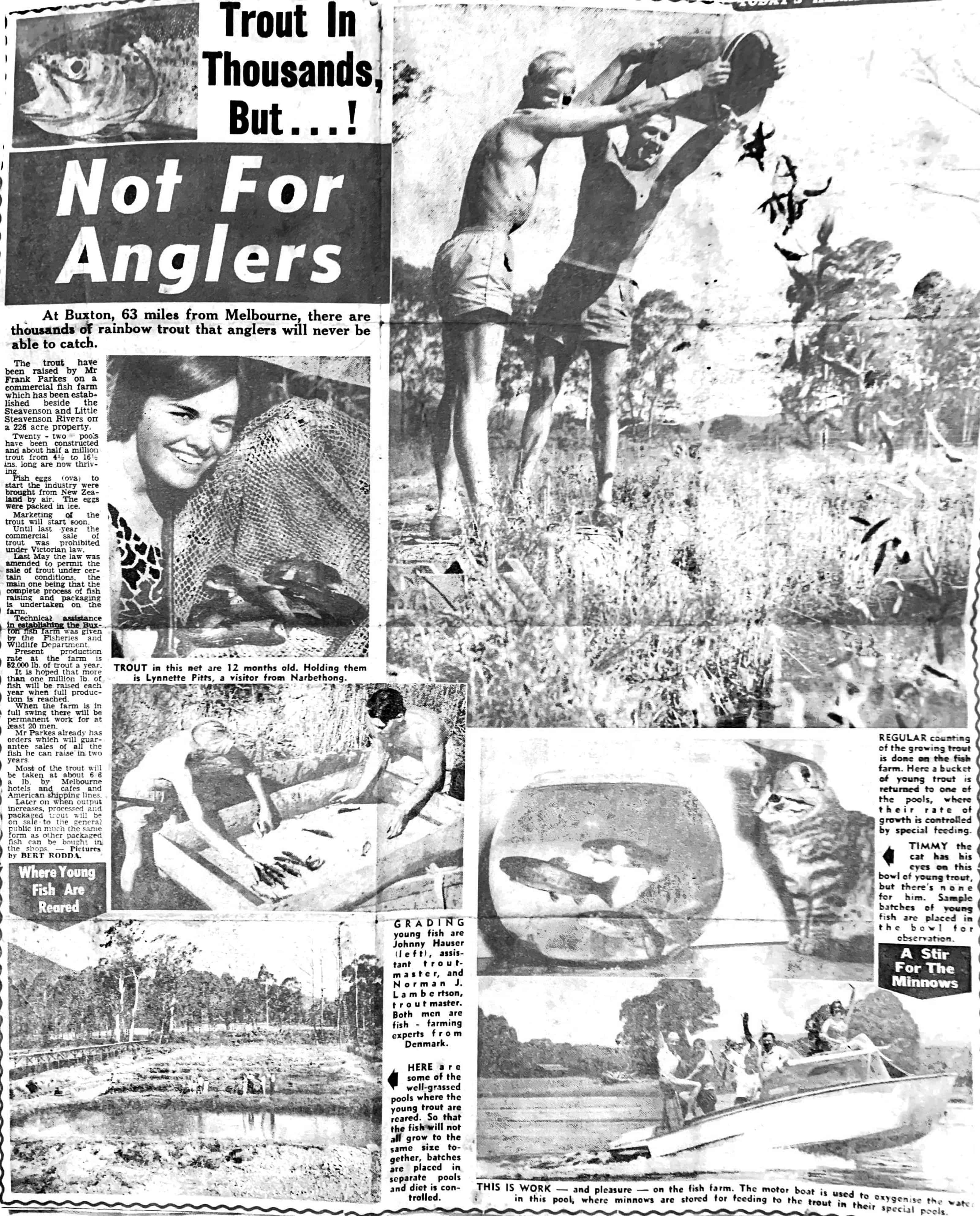 Sustainable Freshwater Trout and Salmon Farm | Buxton Trout and Salmon Farm